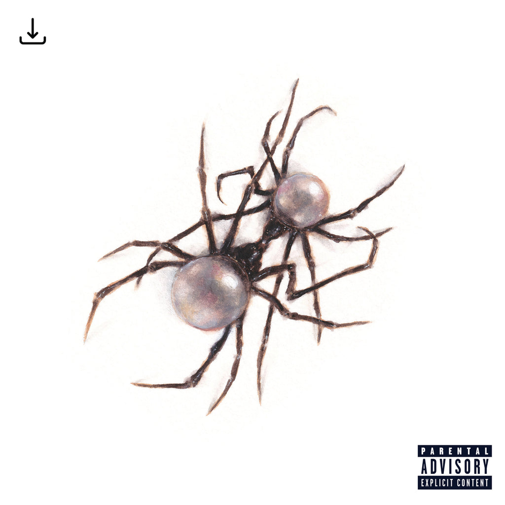 Doja Cat Official Store | Music, Apparel & Accessories