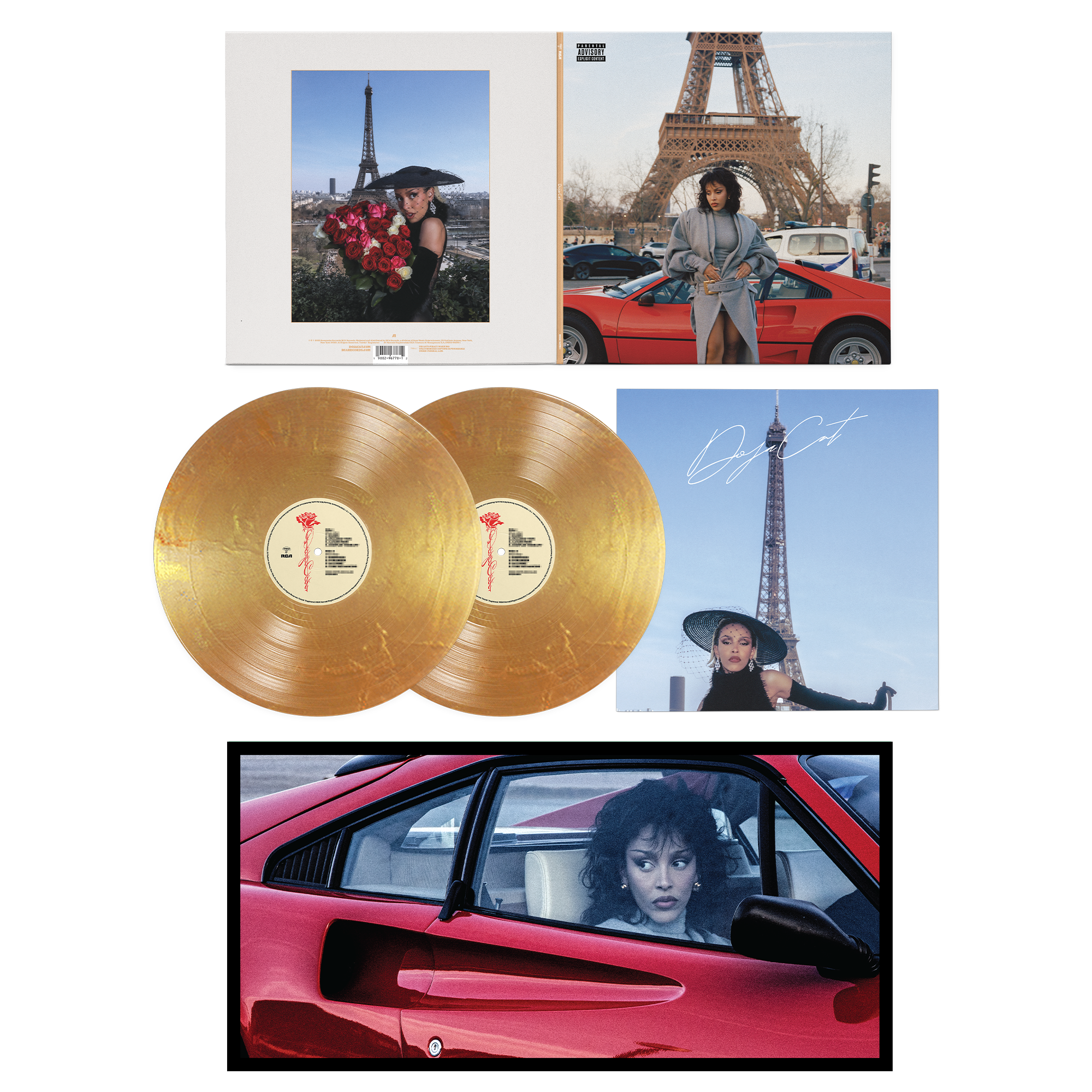 VIE SIGNED VINYL – Doja Cat Official US Store